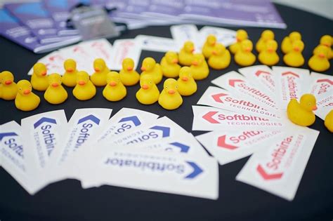 Softbinator Technologies Are în Plan Recrutarea A 30 De Specialiști