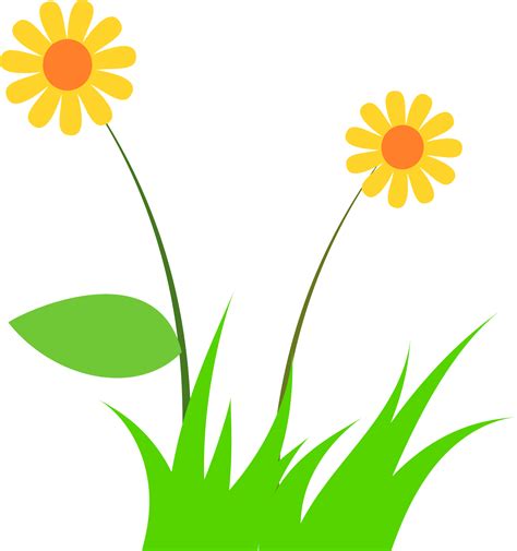 Grass Grass Flower Summer Grass 9635356 Png