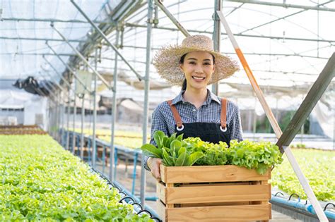 아시아 농부 젊은 여성의 초상화는 농장에서 야채 바구니를 들고 있습니다 매력적인 농업 학자 스탠드와 야채 수경재배의 운반 상자를