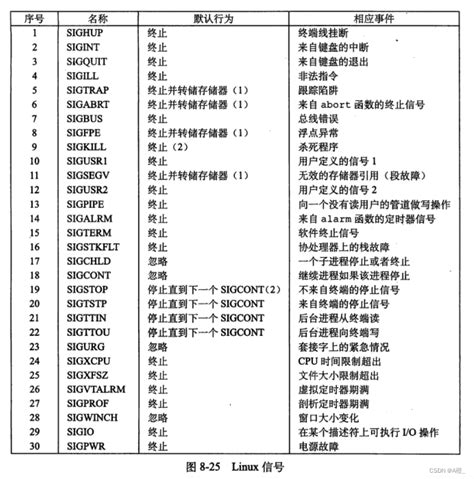 计算机系统 异常控制流 异常返回后会执行下一条指令吗 csdn博客