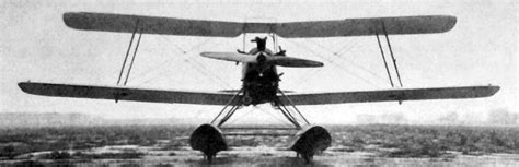 Caproni Ca100 31