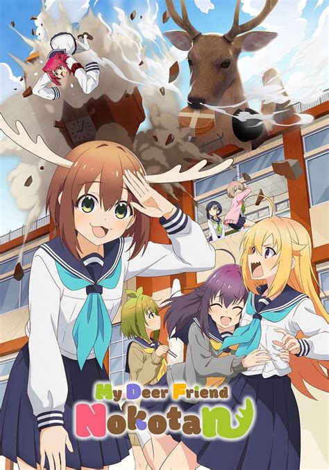 My Deer Friend Nokotan Streaming Tv Series Online
