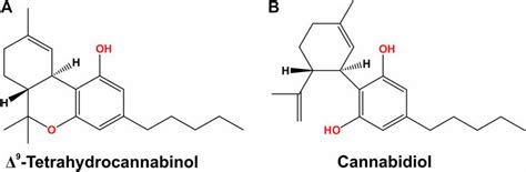 Chemical Structures A Thc And B Cbd The Main Phytocannabinoids
