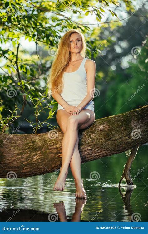 Menina Erótica Na Roupa Interior Foto De Stock Imagem 68055803