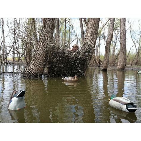 Final Flight Outfitters Inc Avery Avery Timber Real Grass