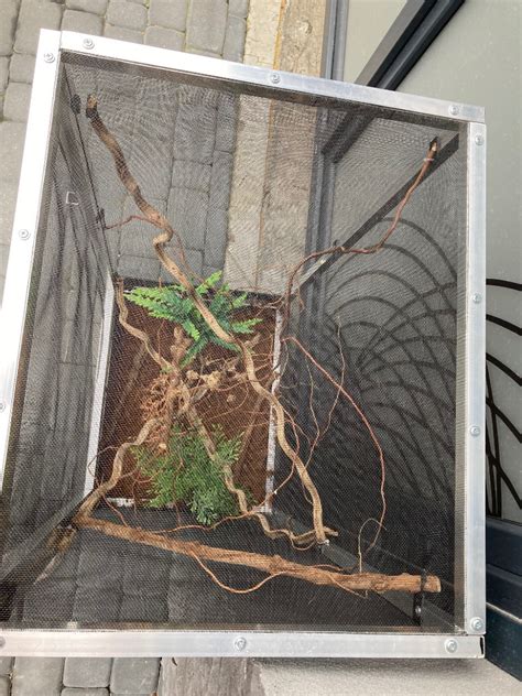 Terrarium klatka dla gada kameleona 100x60x50 Kraków Kup teraz na Allegro Lokalnie