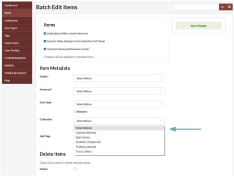 Collections Omeka Classic User Manual