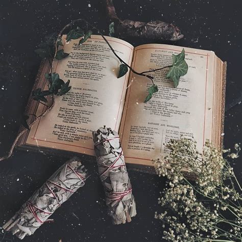 From Witches Of The North On Instagram Green Witch Aesthetic Magic