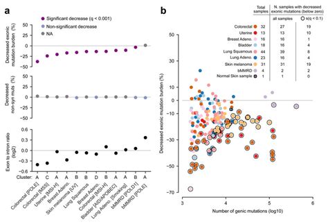 Decreased Exonic Mutation Burden Across Cancer Types A Top Panel Download Scientific