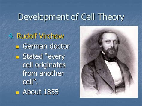 Rudolf Virchow Cell Theory