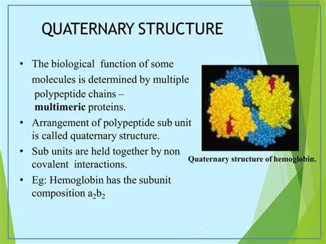 Quaternary Structure Of Proteins Pptx Chemistry Science