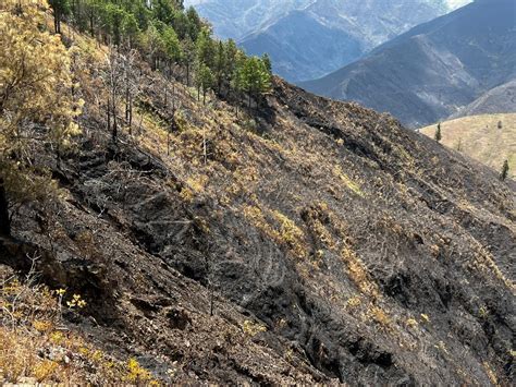 Incendio En Quilanga Está Controlado Estas Son Las Pérdidas