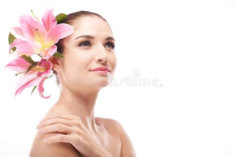 Nymph Stock Image Image Of Pure Looking Flower Lily 49856461