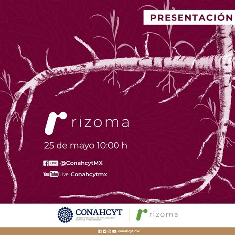 ¿qué Es “rizoma” Y Quiénes Deben Utilizarla Bien Común