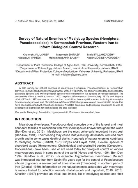 Pdf Survey Of Natural Enemies Of Mealybug Species Hemiptera Pseudococcidae In Kermanshah