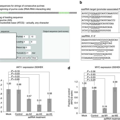 Algorithm Designed Small Noncoding Antisense Rnas Sasrnas And