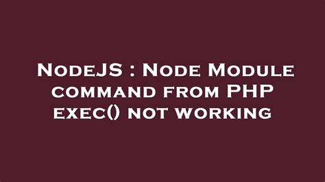 Nodejs Node Module Command From Php Exec Not Working Youtube