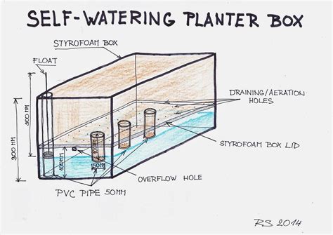 Efficient Self Watering Planter Box