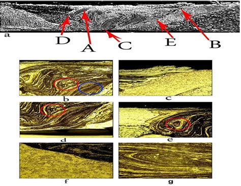 A Stereo Microscopic Image From Microstructure Of Triangular Probe Download Scientific Diagram