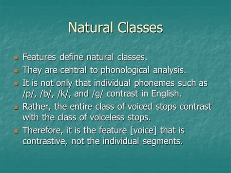 Phonological Representations Ppt Video Online Download