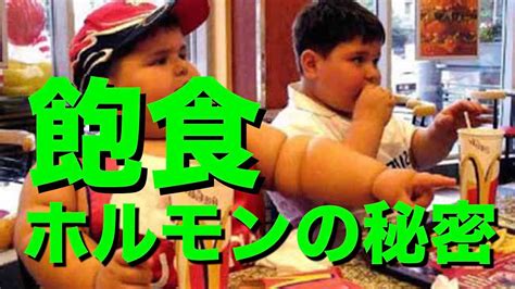 飽食のメカニズム〜満腹感を破壊する2つの食材 Youtube