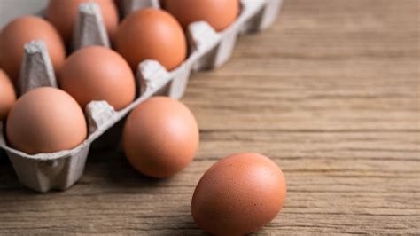 6 Makanan Tinggi Protein Rendah Karbohidrat Bikin Langsing Klikdokter