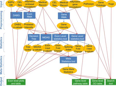 Beat Analysis Workflow Elliptical Boxes Represent Every Type Of Data