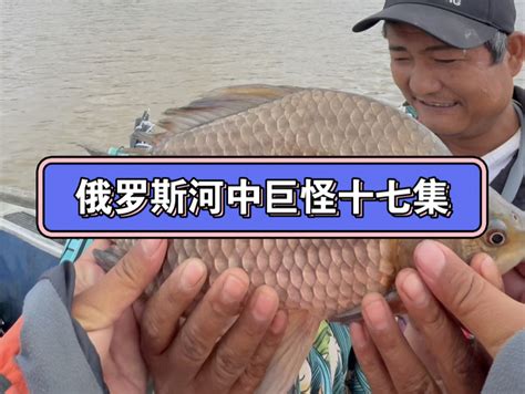 巨型鲫鱼精 硬挺之王 硬挺之王 哔哩哔哩视频