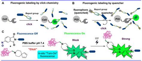 Labs Team Up To Develop Light Responsible Fluorogenic Bioorthogonal