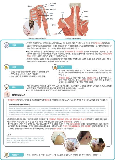 근육긴장 어깨 뉴스 한의신문