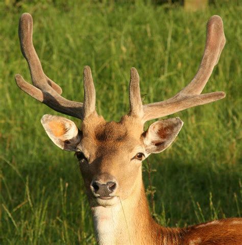 Guten Morgen Herr Nachbar Bad Arolsen