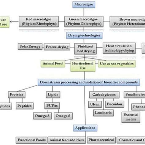 Schematic Representation Of Nitrogen And Protein Utilization In