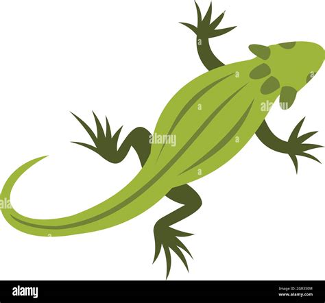 Chameleon Icon In Flat Style Stock Vector Image And Art Alamy