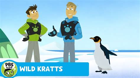 Wild Kratts Insidegaret