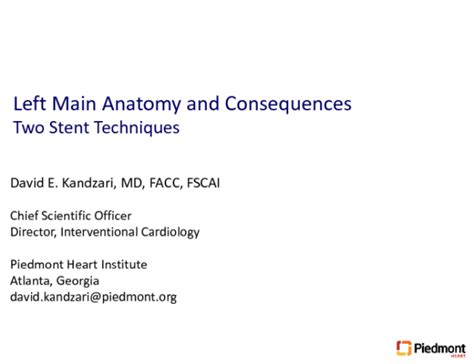 Overview Of The 2 Stent Techniques When And Which With Case Examples