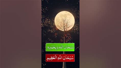 Subhanallahi Wa Bihamdihi Subhan Allahil Azeem Ki Fazilat🤲 Youtube