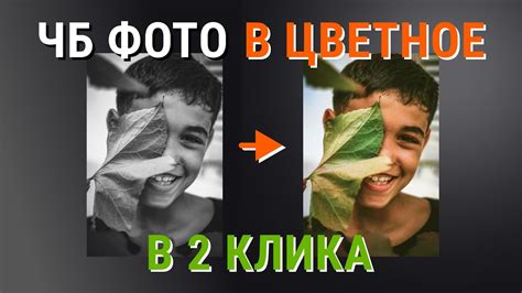 Как сделать Черно Белое фото Цветным без фотошопа онлайн Сервис на основе Ai Youtube