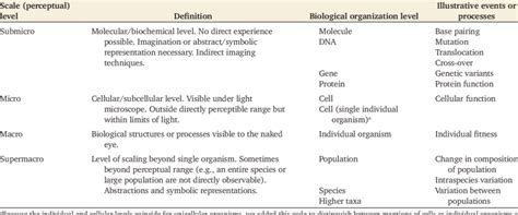 Analytical Categories For The Threshold Concept Spatial Scale