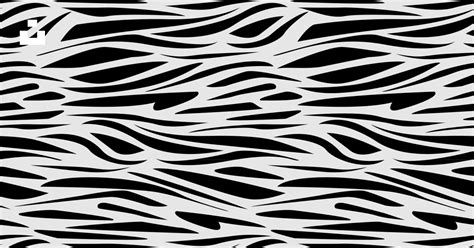 흑인과 백인 얼룩말 줄무늬 패턴입니다 벡터 Unsplash의 무료 벽지 이미지