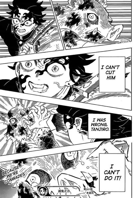 Demon Slayer Subverted Inosuke And Tanjiros Relationship In The Manga