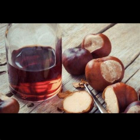 Този лек ме спаси от 10 болежки Всяка есен събирам кестени и го приготвям по тази рецепта За