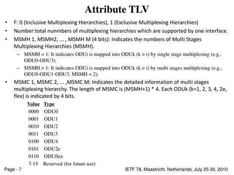 PPT RSVP TE Extension For Multi Stages Multiplexing Configuration In G Network PowerPoint