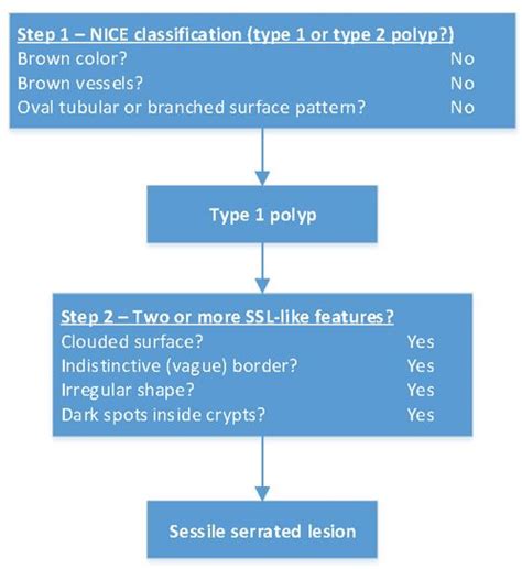 Wasp Classification Optical Diagnosis Of Polyps Endoscopy Campus