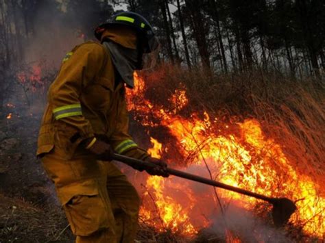 Honduras Conmemora El Día De La Tierra Afectada Por Incendios Y