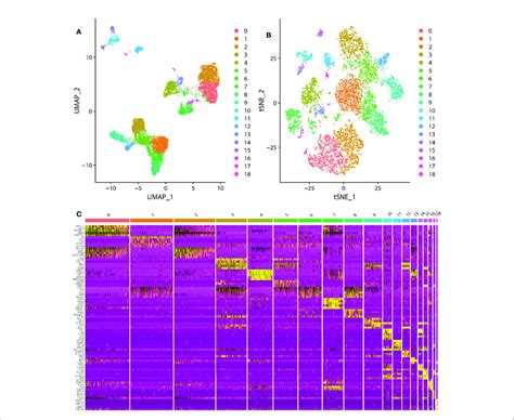 The Dimension Reduction Of Cesc Scrna Seq A Separate Clusters Download Scientific Diagram