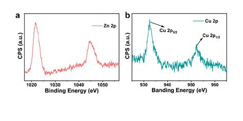 Figure S1 Xps Survey Spectra And High Resolution A Zn 2p B Cu 2p