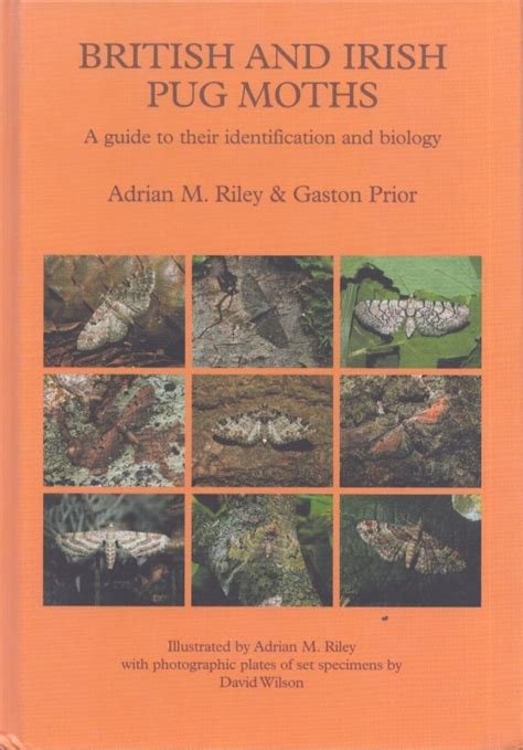 British And Irish Pug Moths A Guide To Their Identification And Biology Adrian M Riley