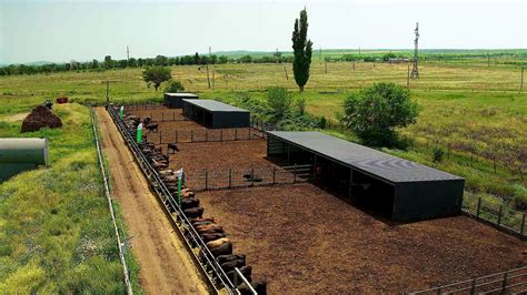 აგროჰაბი • Agrohub Home