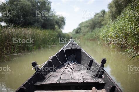 배죠 On 강은요 0명에 대한 스톡 사진 및 기타 이미지 0명 강 노 젓는 배 Istock