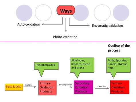 Oxidative Rancidity In Fats And Oils Causes And Prevention